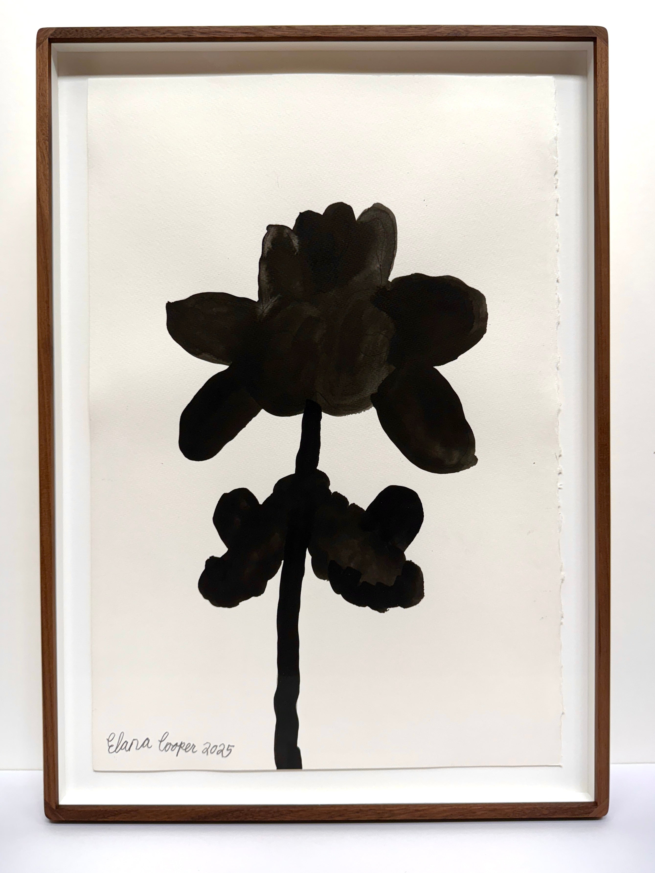 Elana Cooper Flower – Small Works